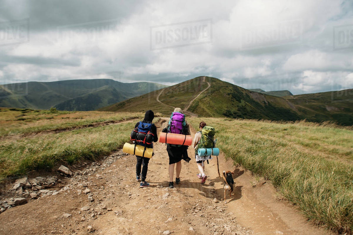 group of people on hiking go with backpacks in the mountains - Stock ...