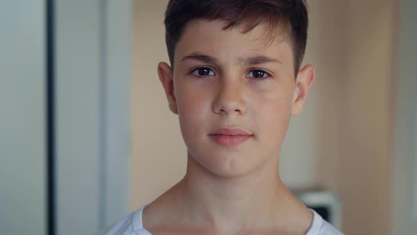 Portrait of handsome boy of 12 ages in white shirt looking at camera at ...