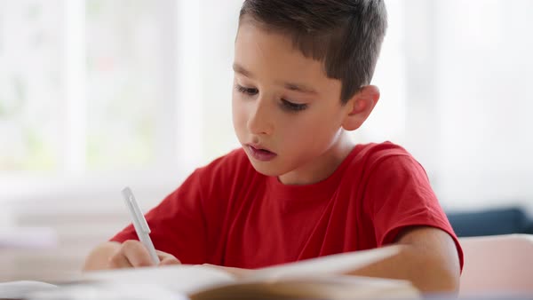 Little boy sitting at desk and doing homework, diligent student writing ...
