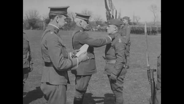 General Robert Alexander decorates 308th Infantry troops and a military ...