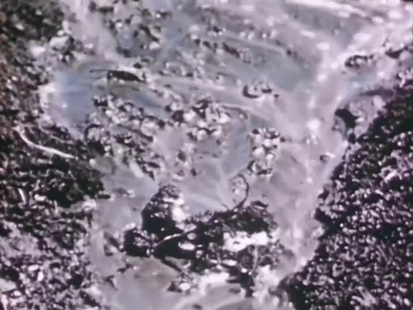 1948 - Junior the raindrop and his raindrop friends flood large areas ...