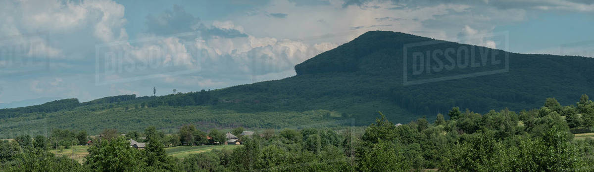 Deforestation panoramic background. Extraction of wood. Bald Mountain ...