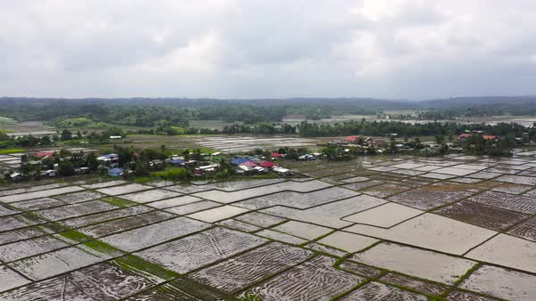 Philippine village and rice fields flooded with water. Agricultural ...