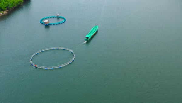Fish farm with cages for fish and shrimp in the Philippines, Luzon ...