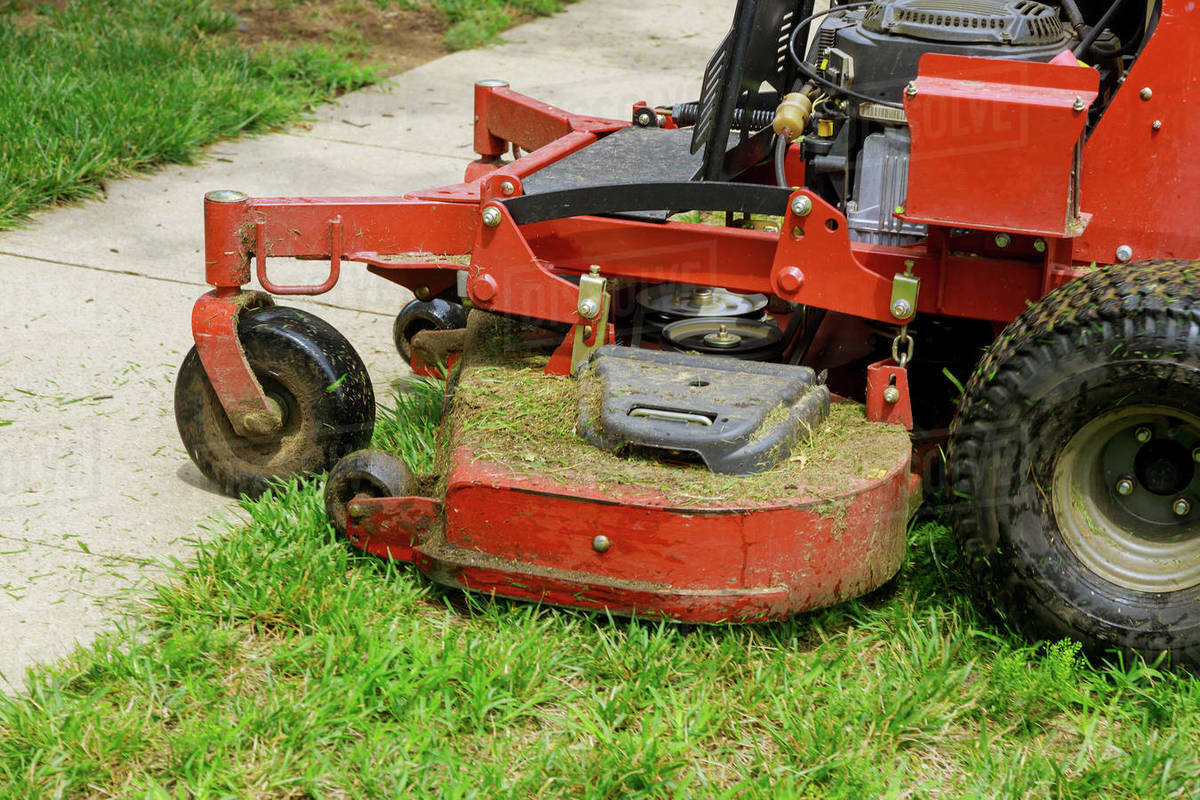 Gardening activity, lawn mower cutting the grass driven lawn mower in ...