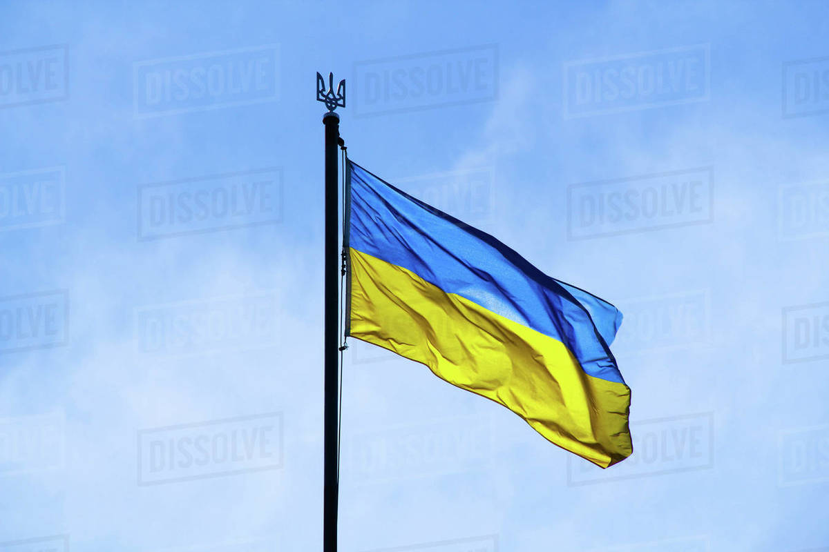 Ukrainian flag in the rays of the rising sun on a background of sky ...