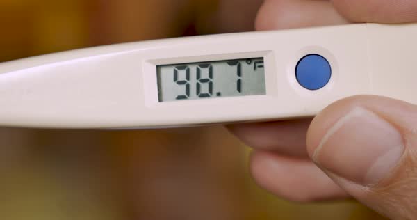 Hand holding a digital thermometer displaying the temperature of a 104. ...