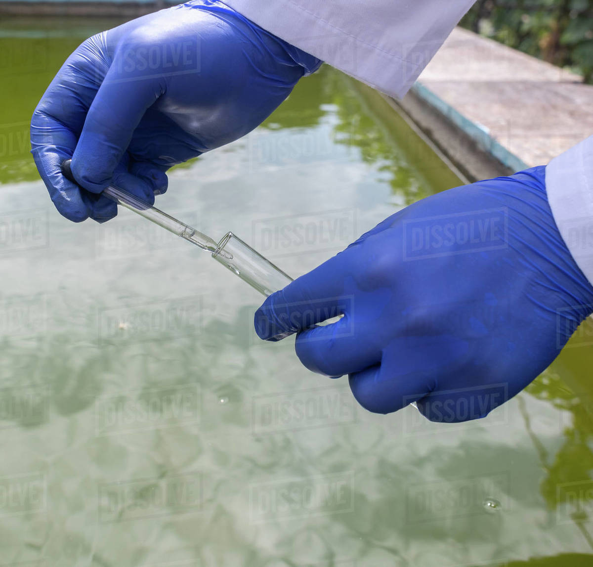 Water sample. Bacterial control of pool water. Checking the amount of ...