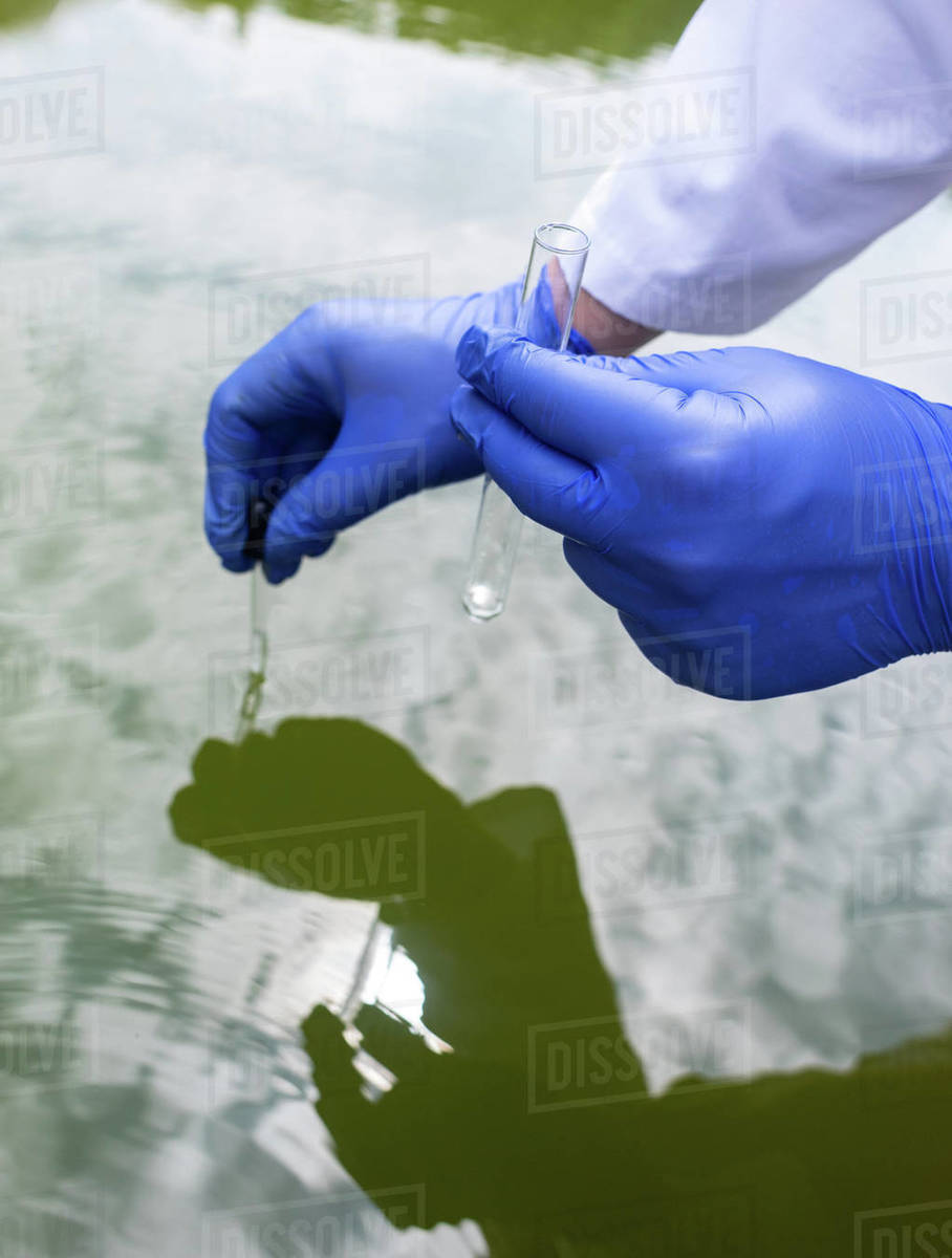 Water sample. Checking the condition of rivers or natural lakes. Water ...