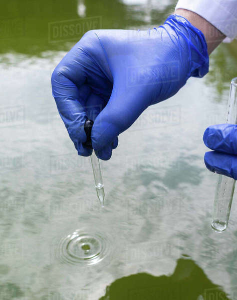 Water sample. Checking the condition of rivers or natural lakes. Water ...