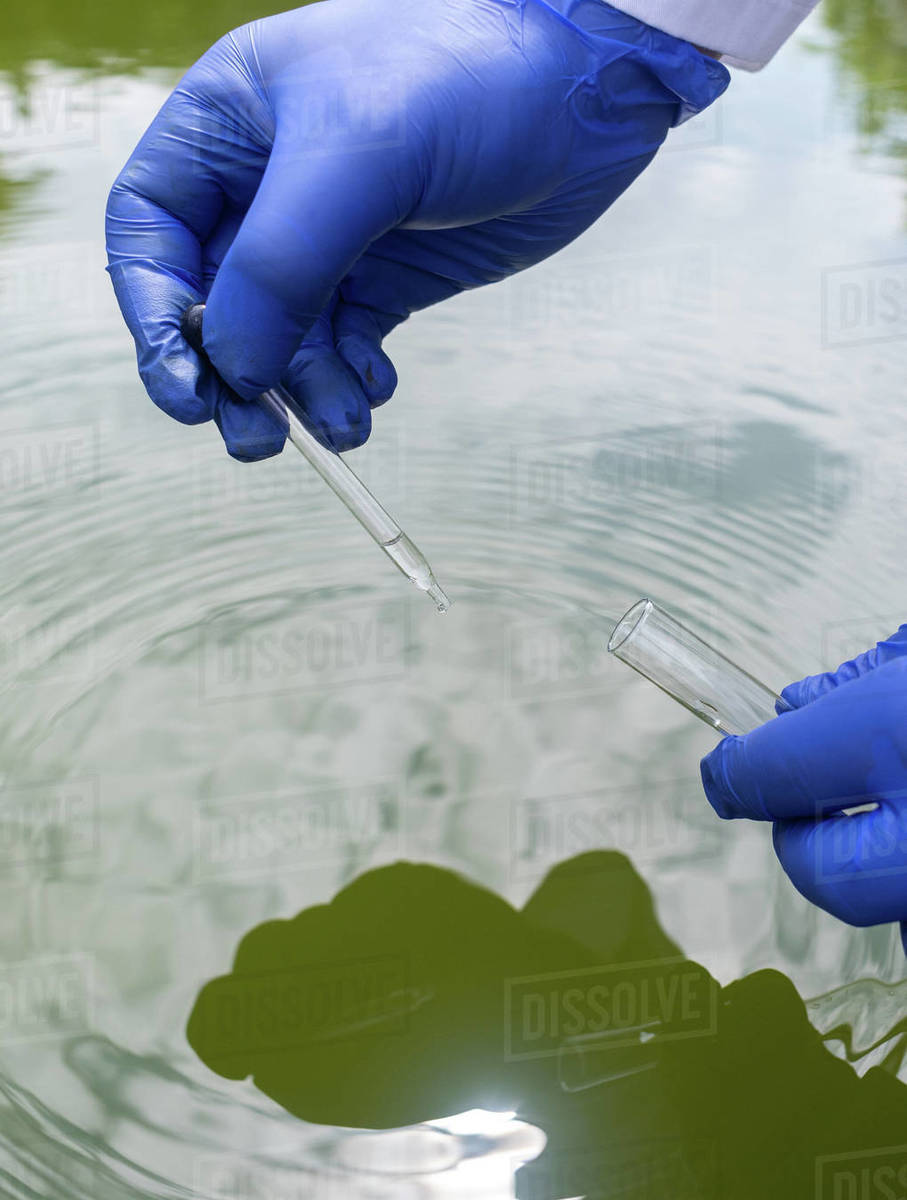 Water sample. Checking the condition of rivers or natural lakes. Water ...