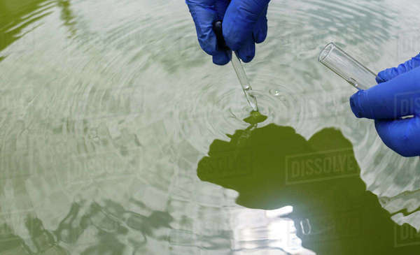 Water sample. Checking the condition of rivers or natural lakes. Water ...