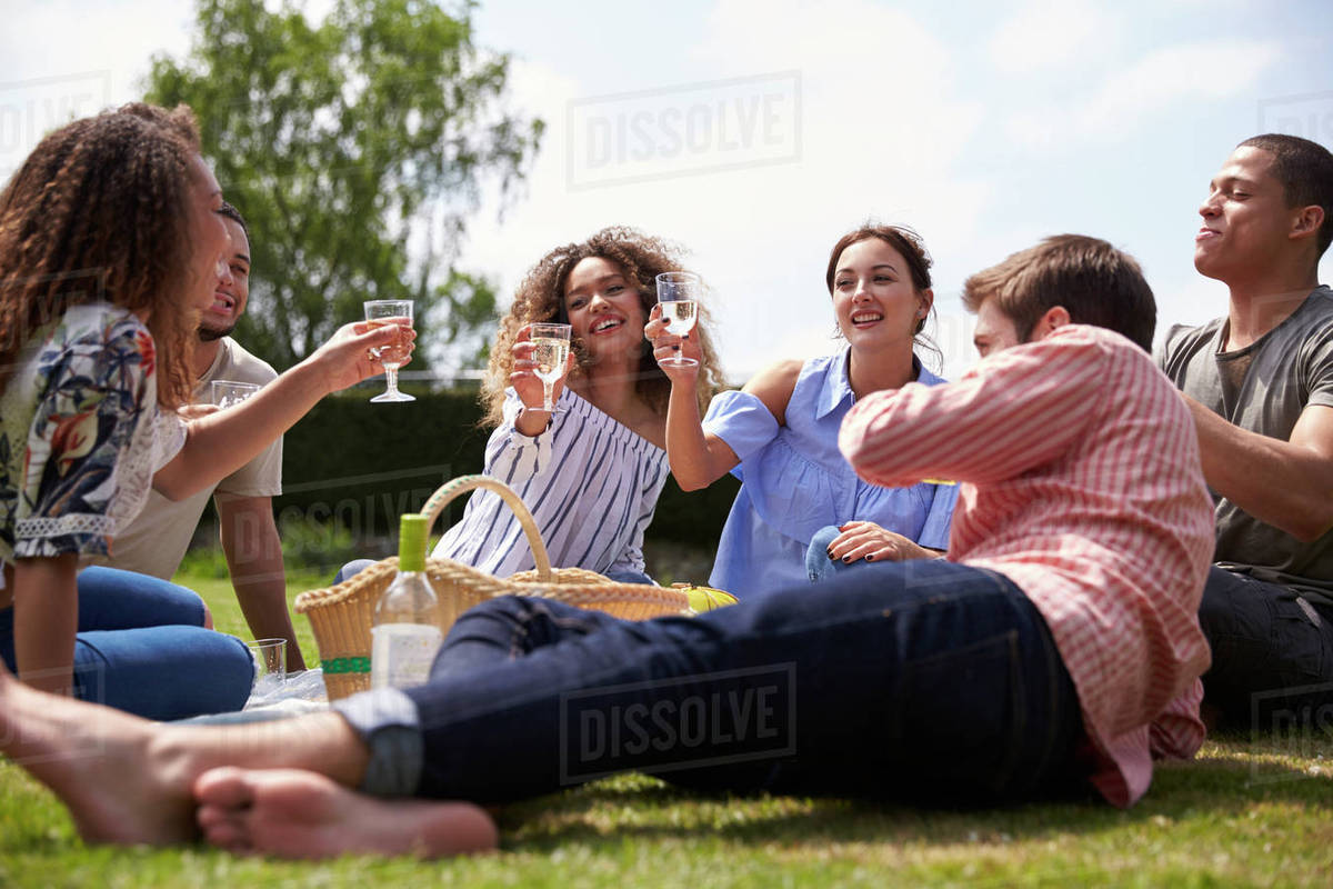 Group of friends at a picnic make a toast, selective focus - Royalty ...