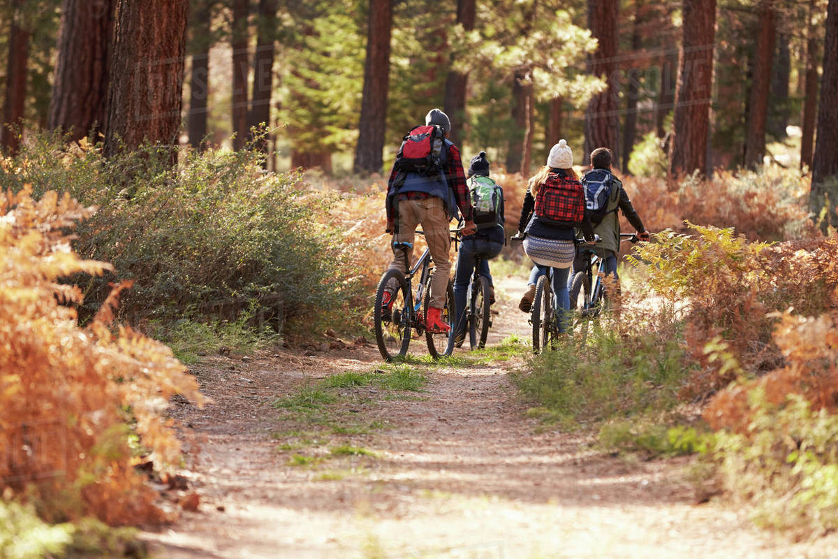 Group of friends riding bikes on a forest trail, back view - Royalty ...