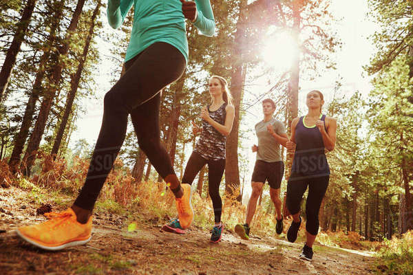 Group of four adults running in a forest, low angle close up - Royalty ...