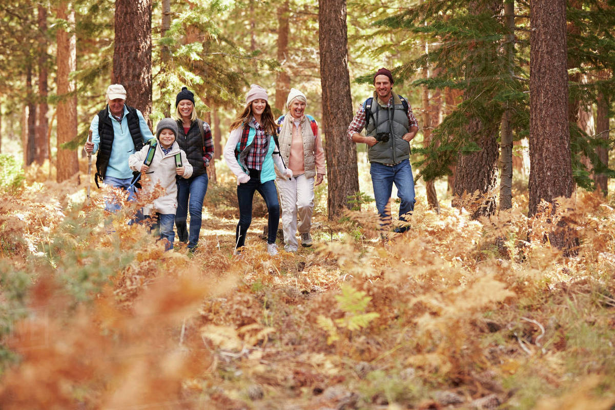 Multi generation family hiking in a forest, foreground space - Royalty ...