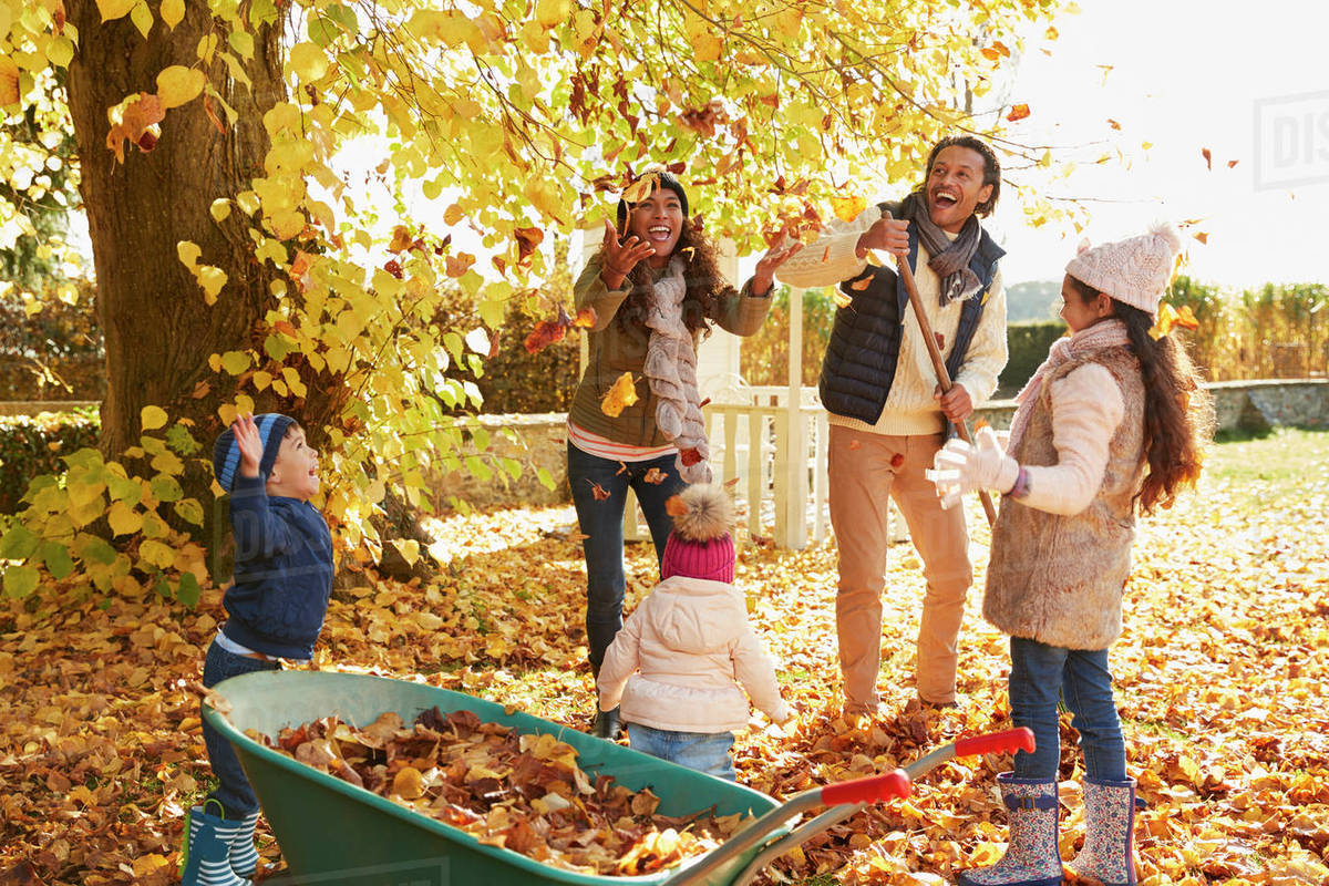 Children helping parents to collect autumn leaves in garden - Stock ...