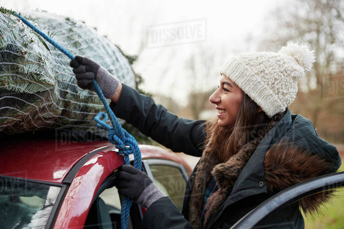 How To Tie Christmas Tree To Roof Of Car at Hayley Forster blog