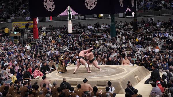 Sumo tournament in Japan. Sumo wrestlers fight. Sumo match in ...