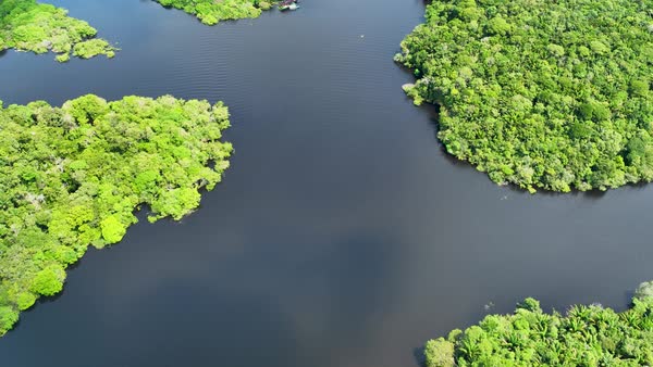 Amazon River at Amazon Rainforest. The biggest tropical rainforest of ...