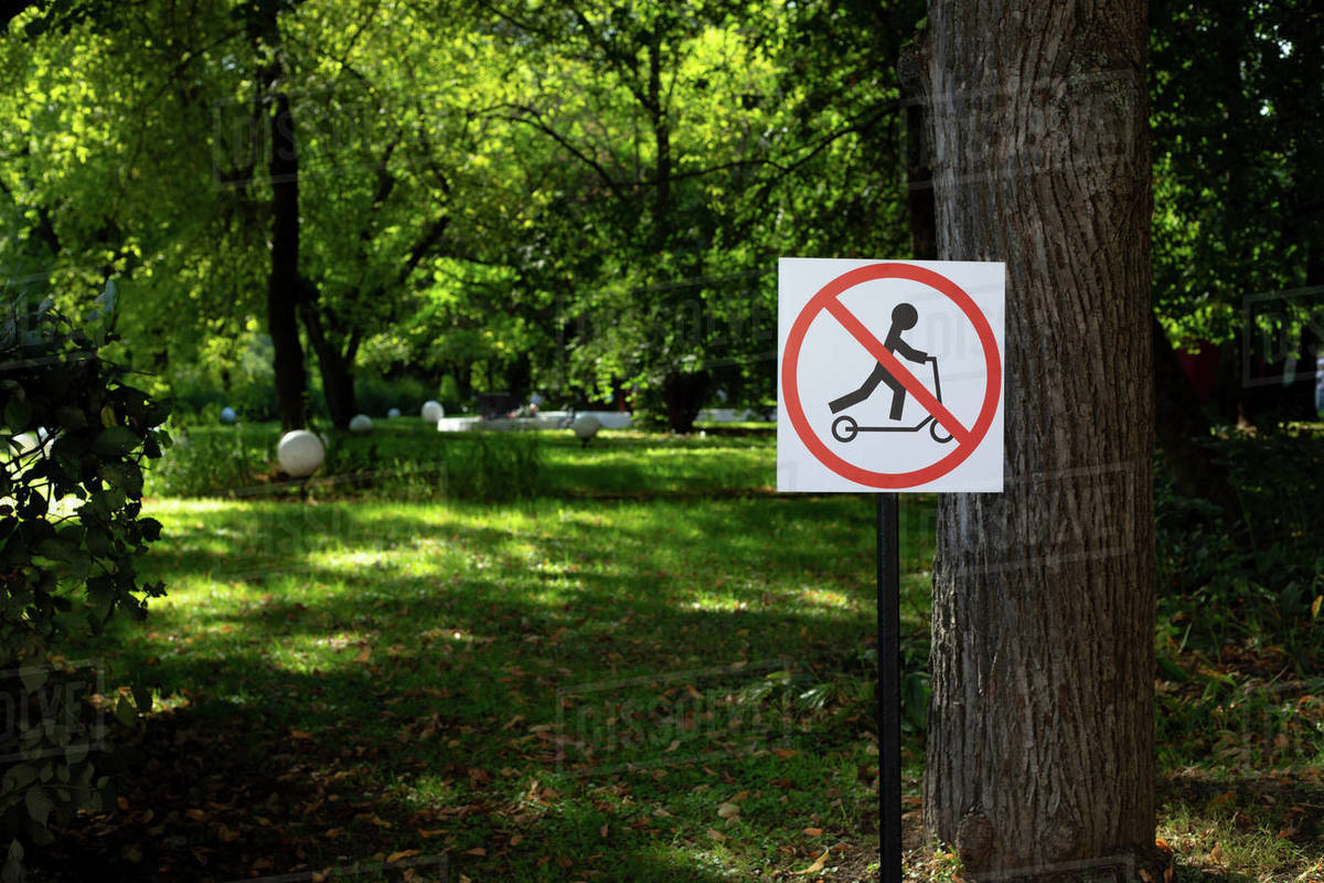 Sign in park with crossed out electric scooter. Ban on riding scooter ...
