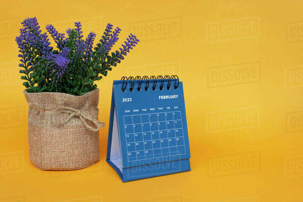 February 2023 desk calendar with potted plant on yellow background ...