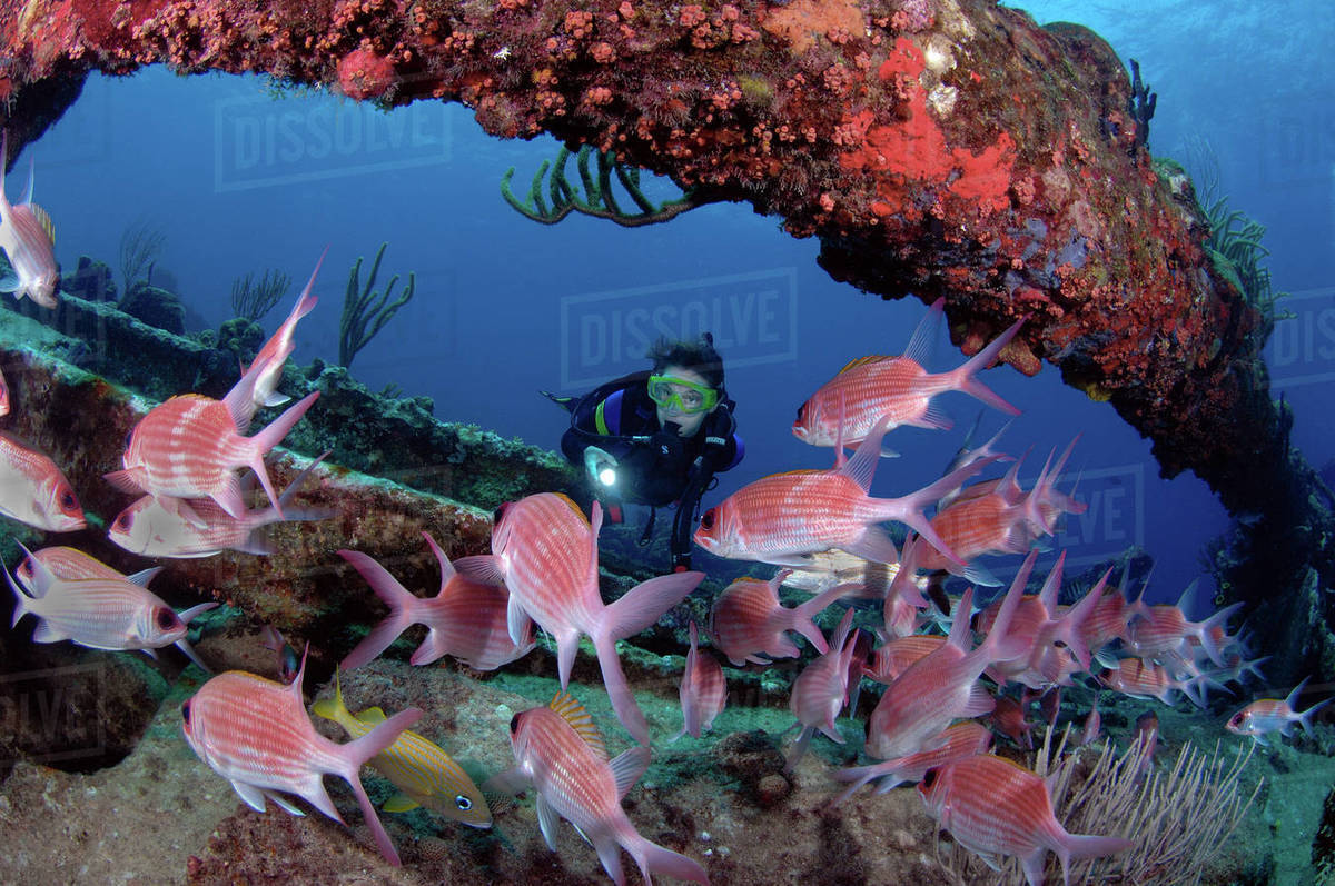 Scuba diver and shipwreck of RMS Rhone with squirrelfish, Holocentrus ...