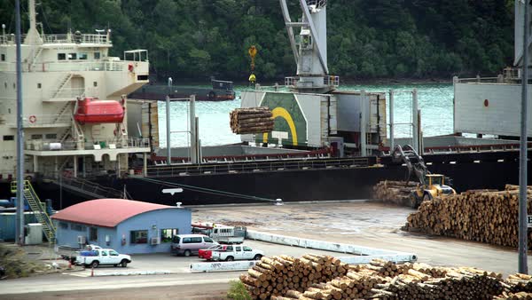 Bulk Carrier loading timber cargo in dock at Lumberyard Picton South ...