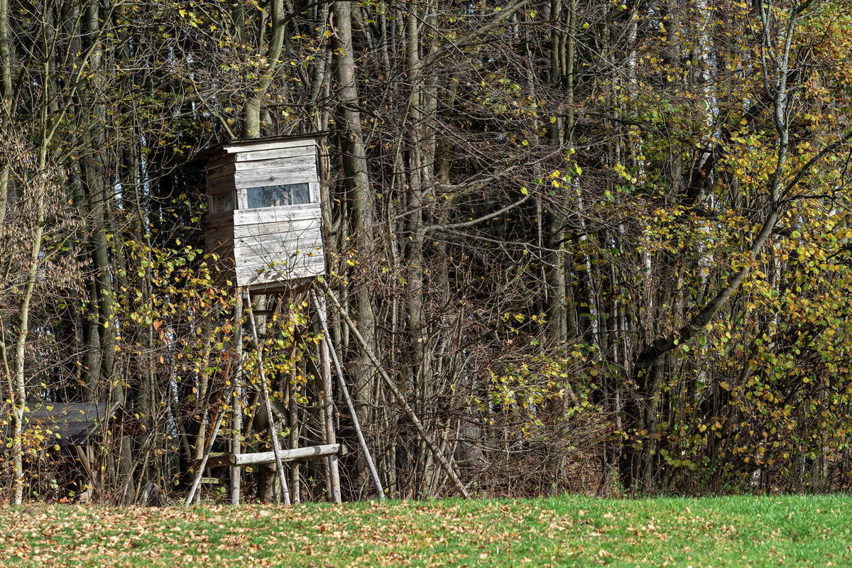 Wooden lookout tower for hunting in the woods and on meadow - Royalty ...