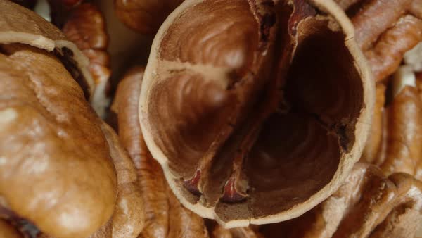 Texture inside the shell of a pecan nut, macro zoom, background of nuts ...