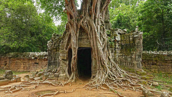 Ancient Angkor Wat temple in Cambodia. Sacred stone temple dedicated to ...