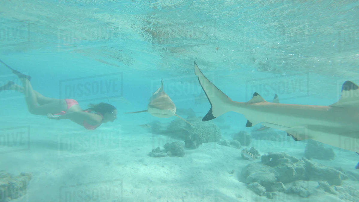 UNDERWATER: Cheerful Caucasian woman swims around the vast turquoise ...