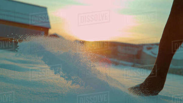 LENS FLARE, CLOSE UP, LOW ANGLE: Young purebred horse's leg kicks up ...