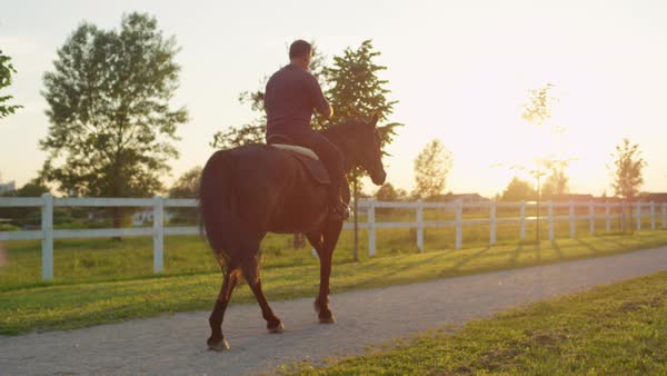 Rear view of a silhouetted man riding a beautiful stallion along the ...