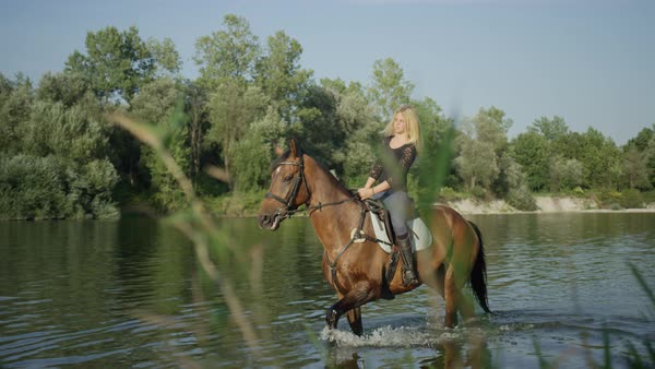 Cheerful woman horseback riding beautiful brown horse against water ...
