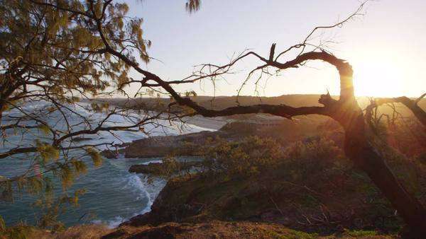 Panning shot capturing nature scenery at sunset - Stock Video Footage ...