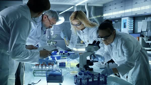 Team of medical research scientists collectively working on a new ...