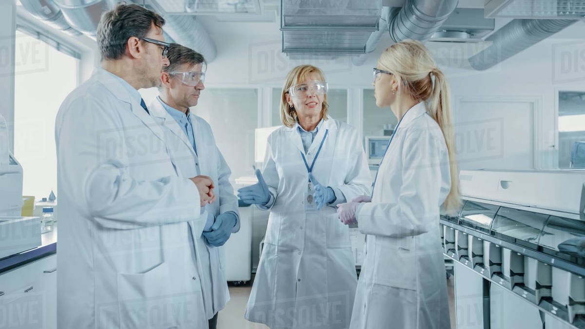 Team of Research Scientists Have Meeting, They Have Discussion While ...