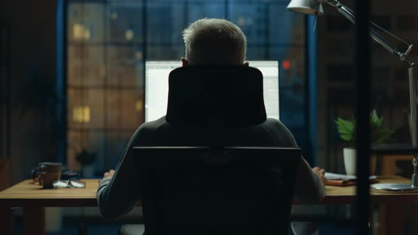 Back view shot of the businessman sitting at his desk using desktop ...