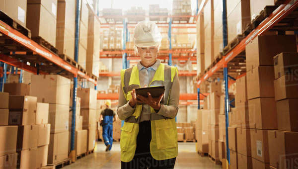 Professional Confident Worker Wearing Hard Hat Checks Stock and ...