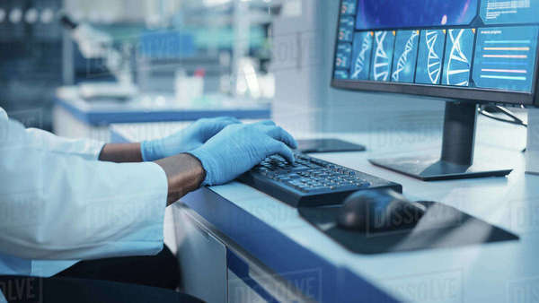 Modern Medical Laboratory: Scientist Wearing Surgical Gloves, Typing on ...