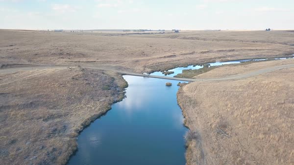 Driving along dirt road looking sideways at arid field with cows ...