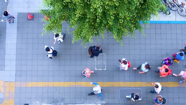 Random people walking on street viewed from above with tree and yellow ...