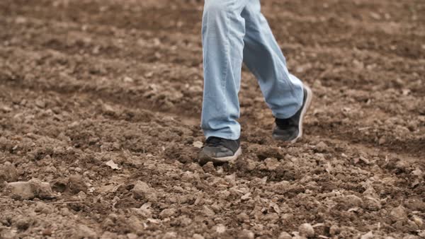 Farmer walking on farm land, planning new seeding season - Stock Video ...