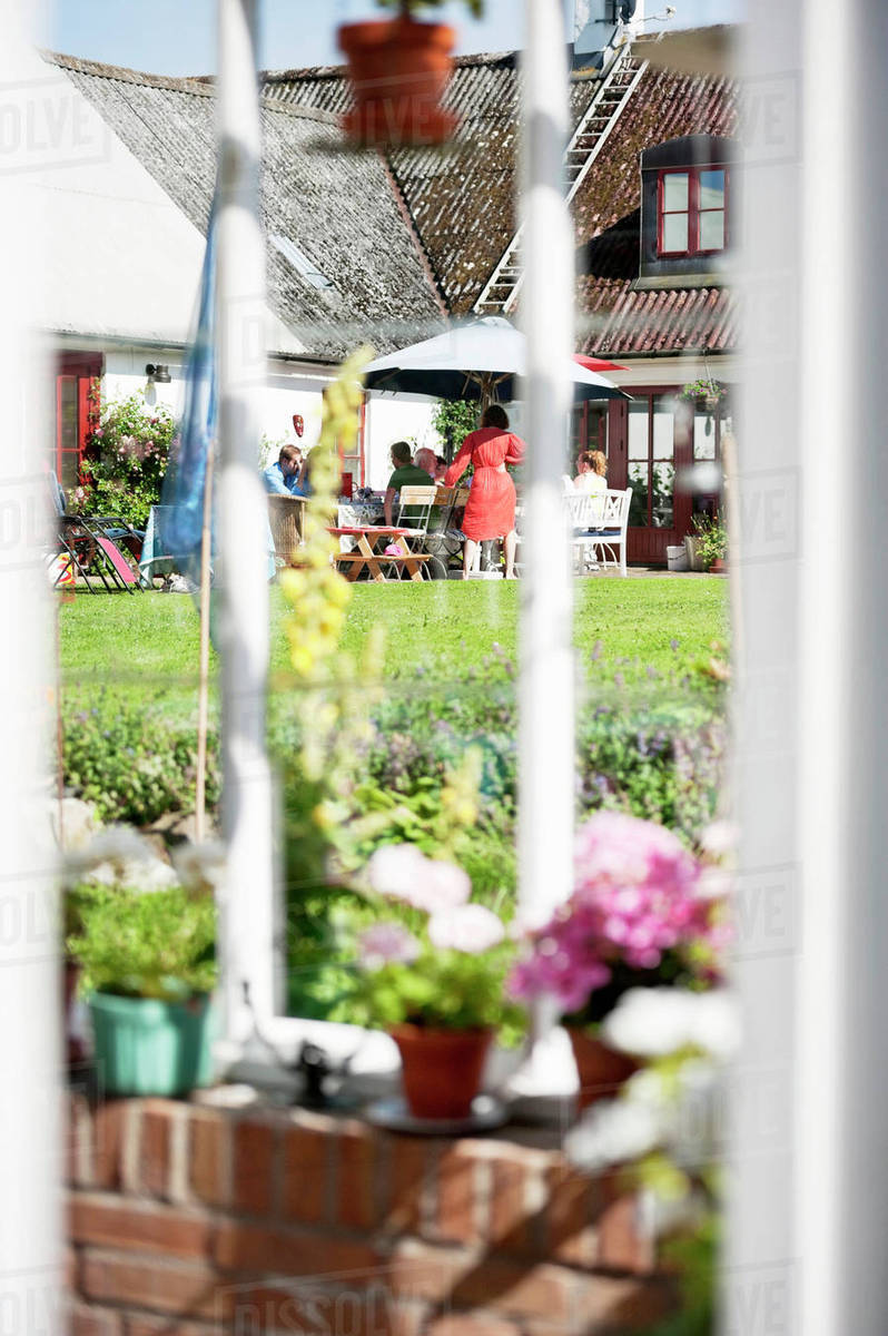 Garden seeing through window - Stock Photo - Dissolve