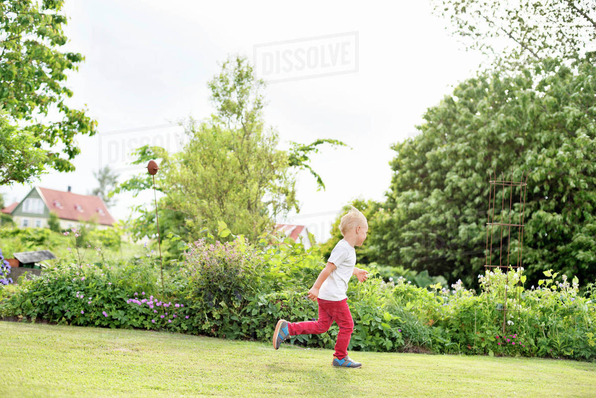 Boy running in garden - Royalty-free Stock Photo | Dissolve