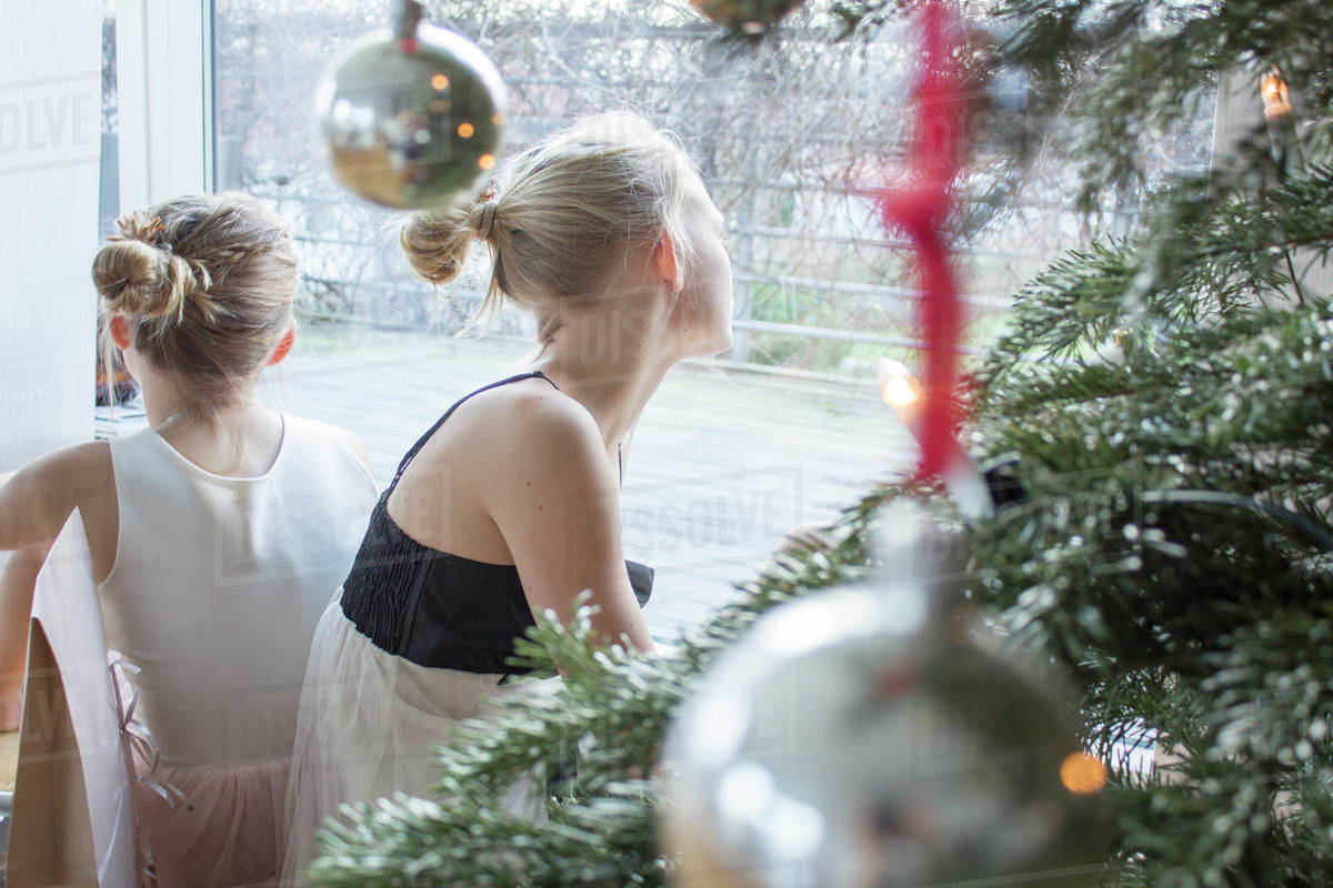 Girls looking through window, christmas tree on foreground - Stock ...