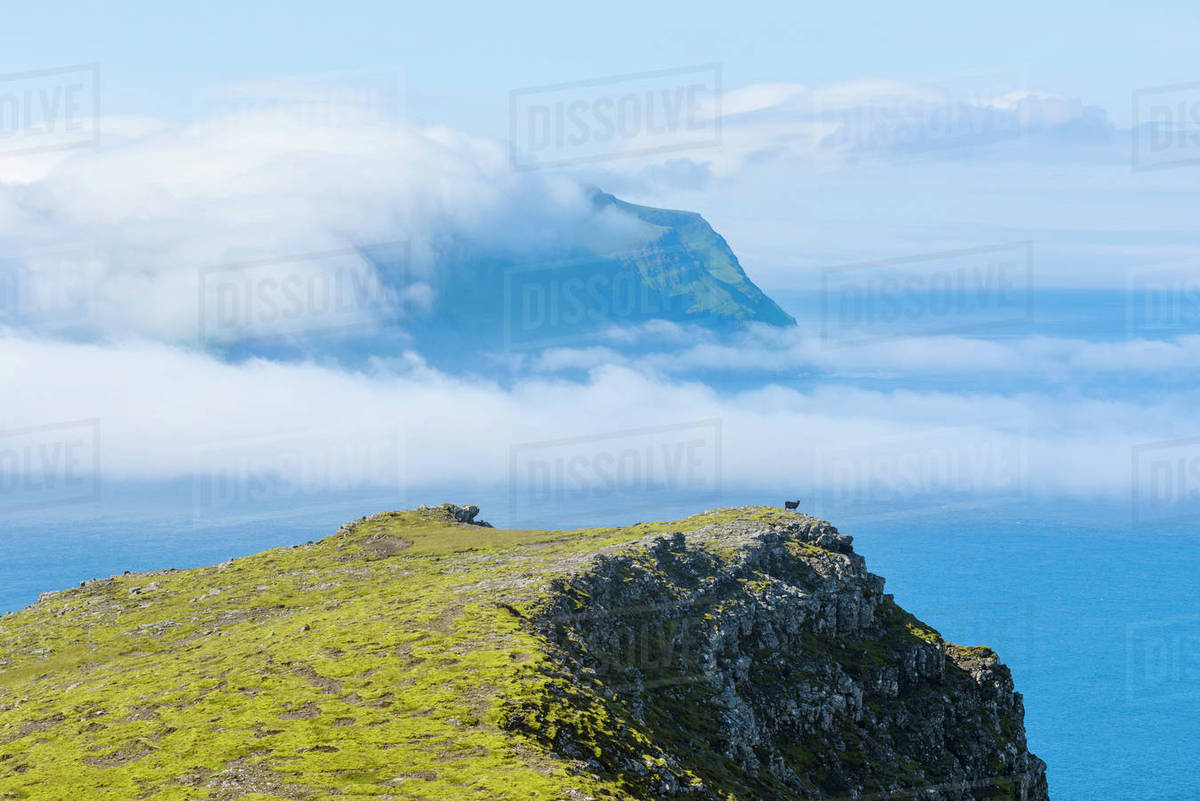 Seaside cliffs - Stock Photo - Dissolve