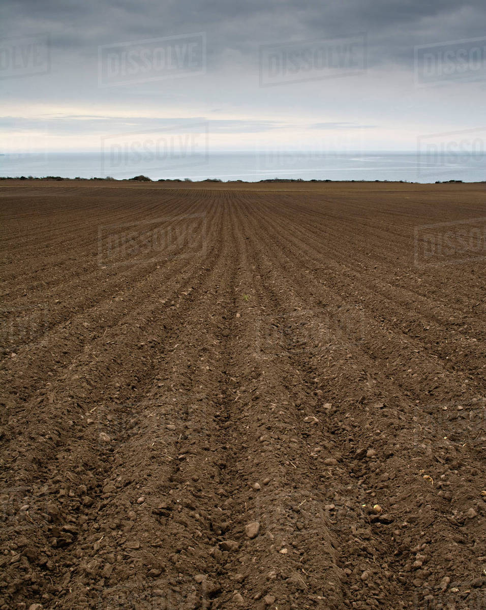 Plow field - Royalty-free Stock Photo | Dissolve