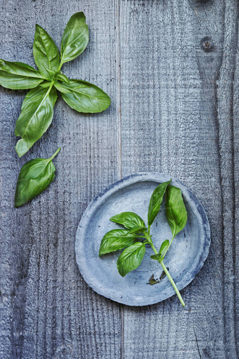 Basil on wooden background - Royalty-free Stock Photo | Dissolve